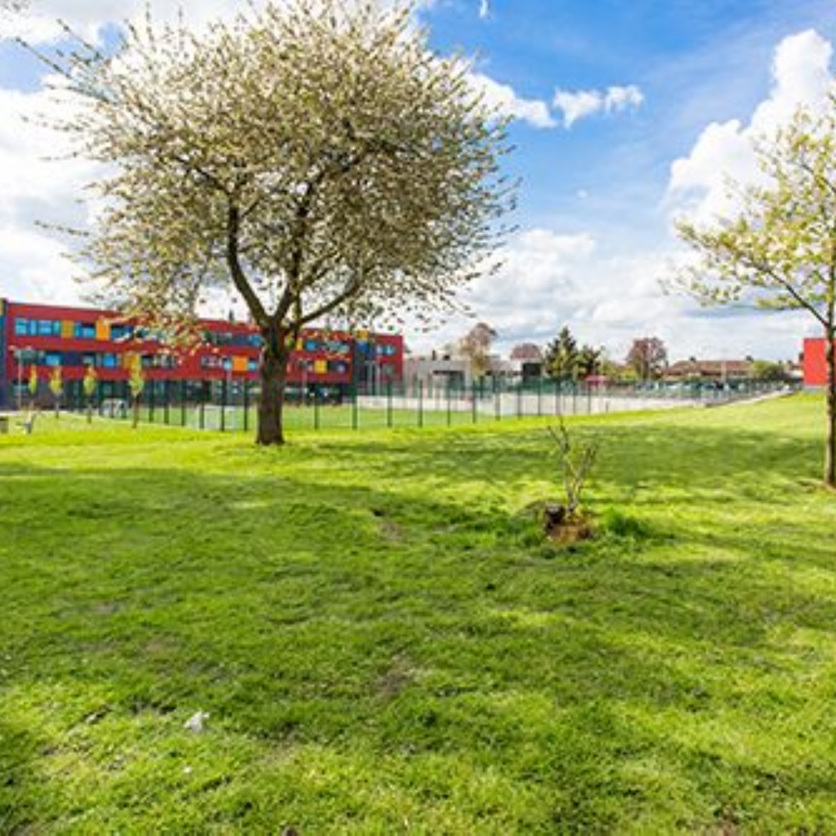 Hampstead School - Home